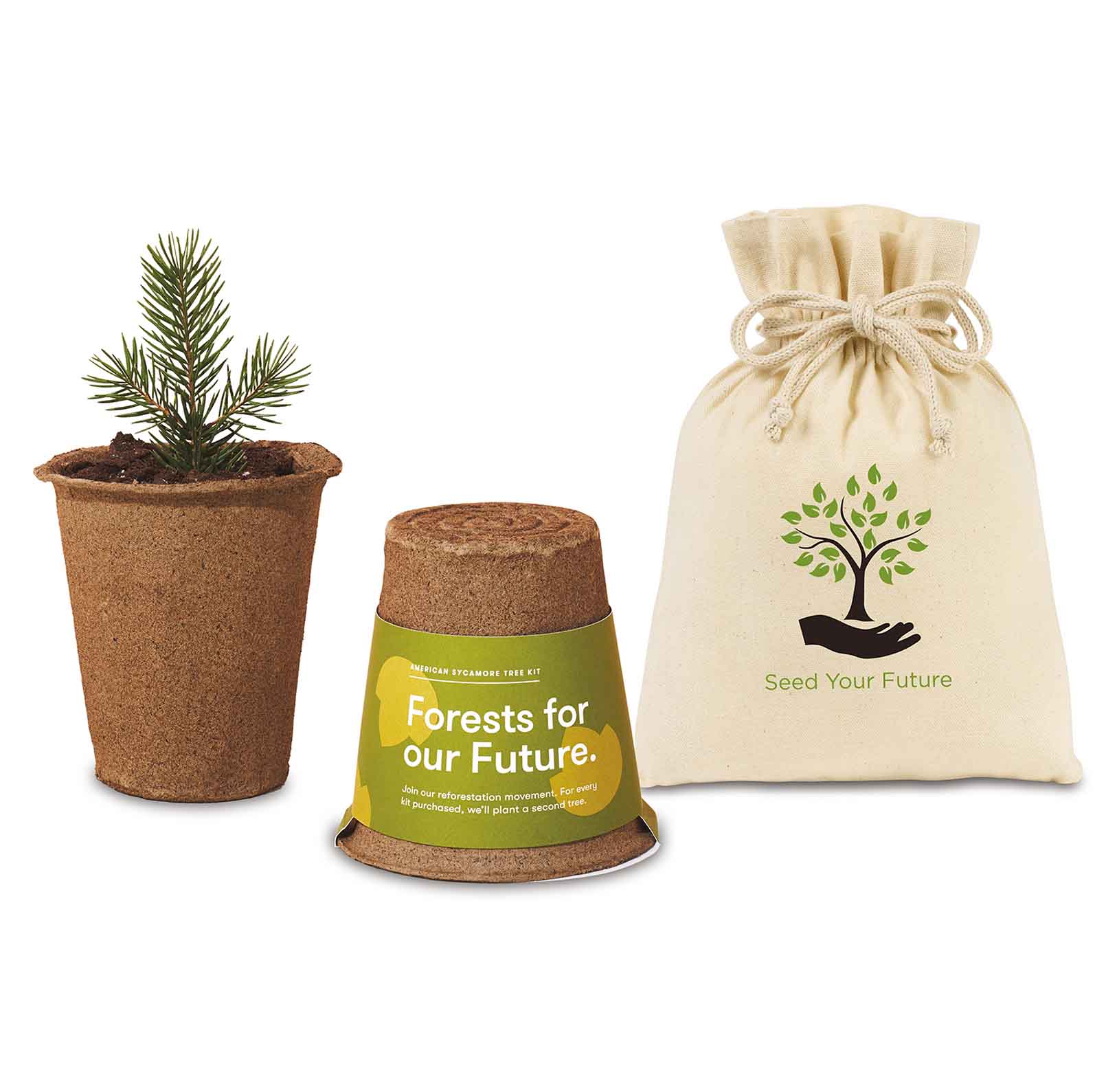 Modern Sprout Tree Kit - Custom Branded Promotional Home & Garden ...