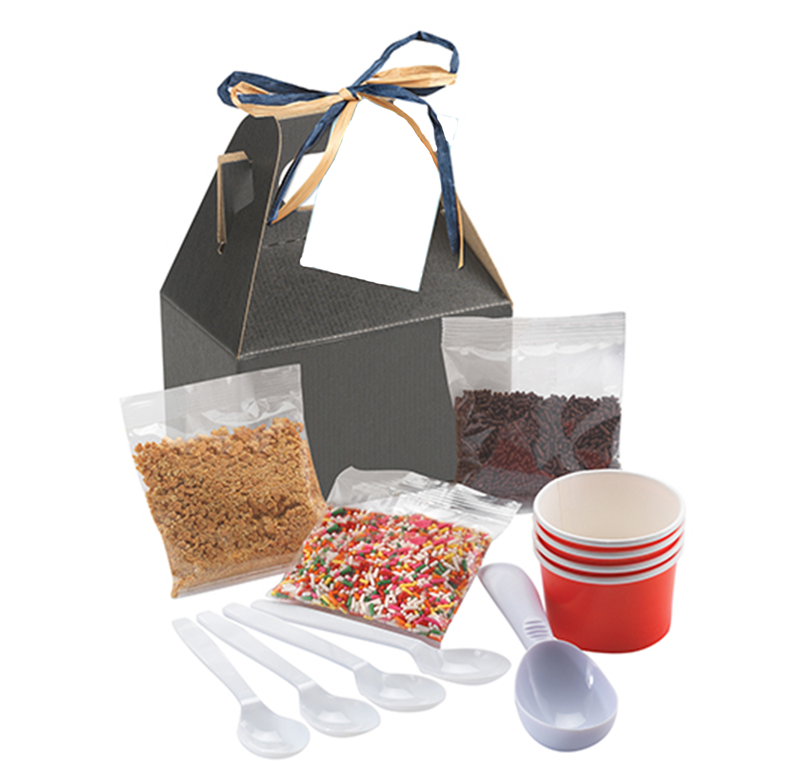 DIY Ice Cream Kit - Custom Branded Promotional Ice Cream - Swag.com