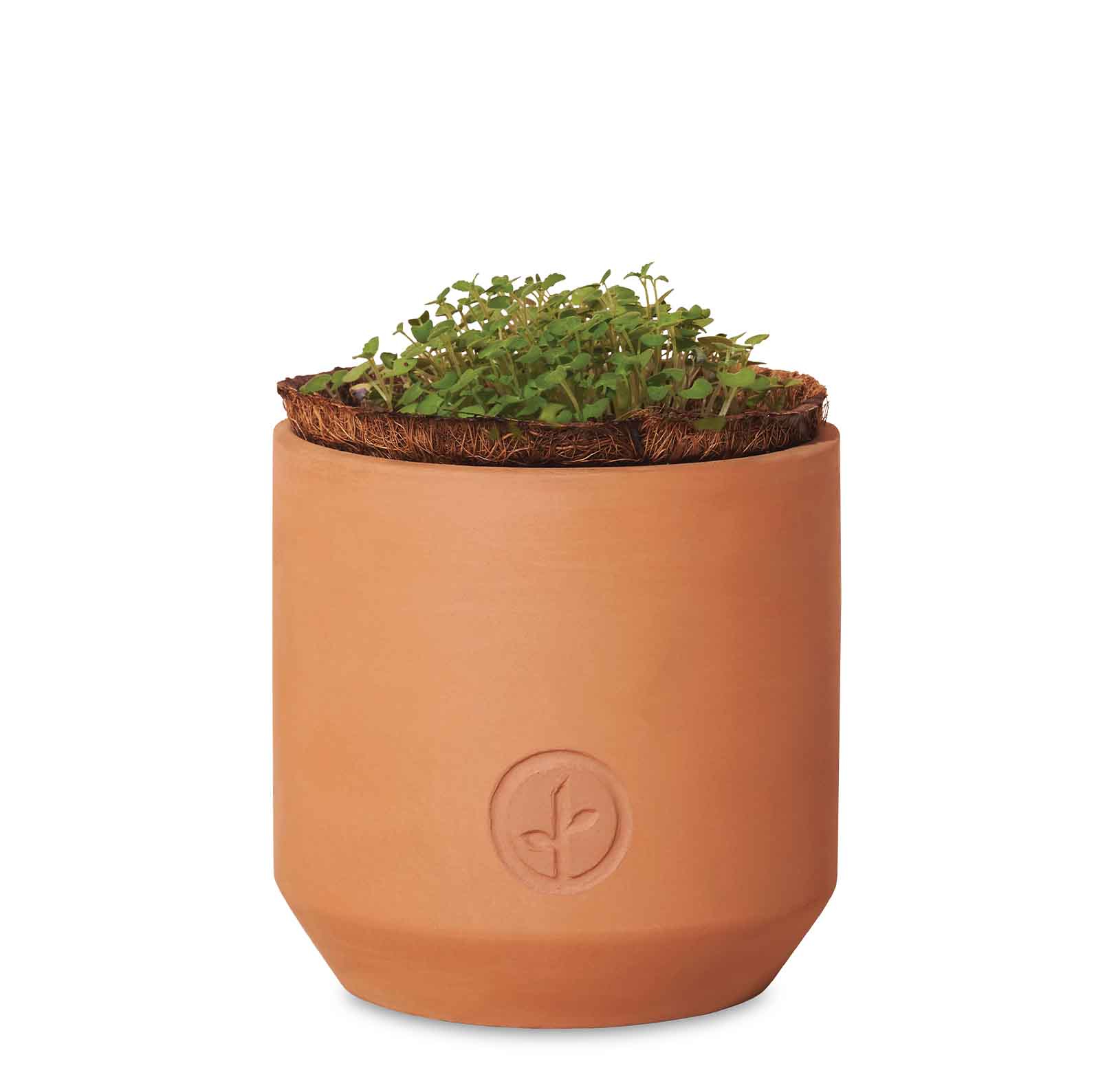 Modern Sprout Poppies Kit - Custom Branded Promotional Home & Garden ...
