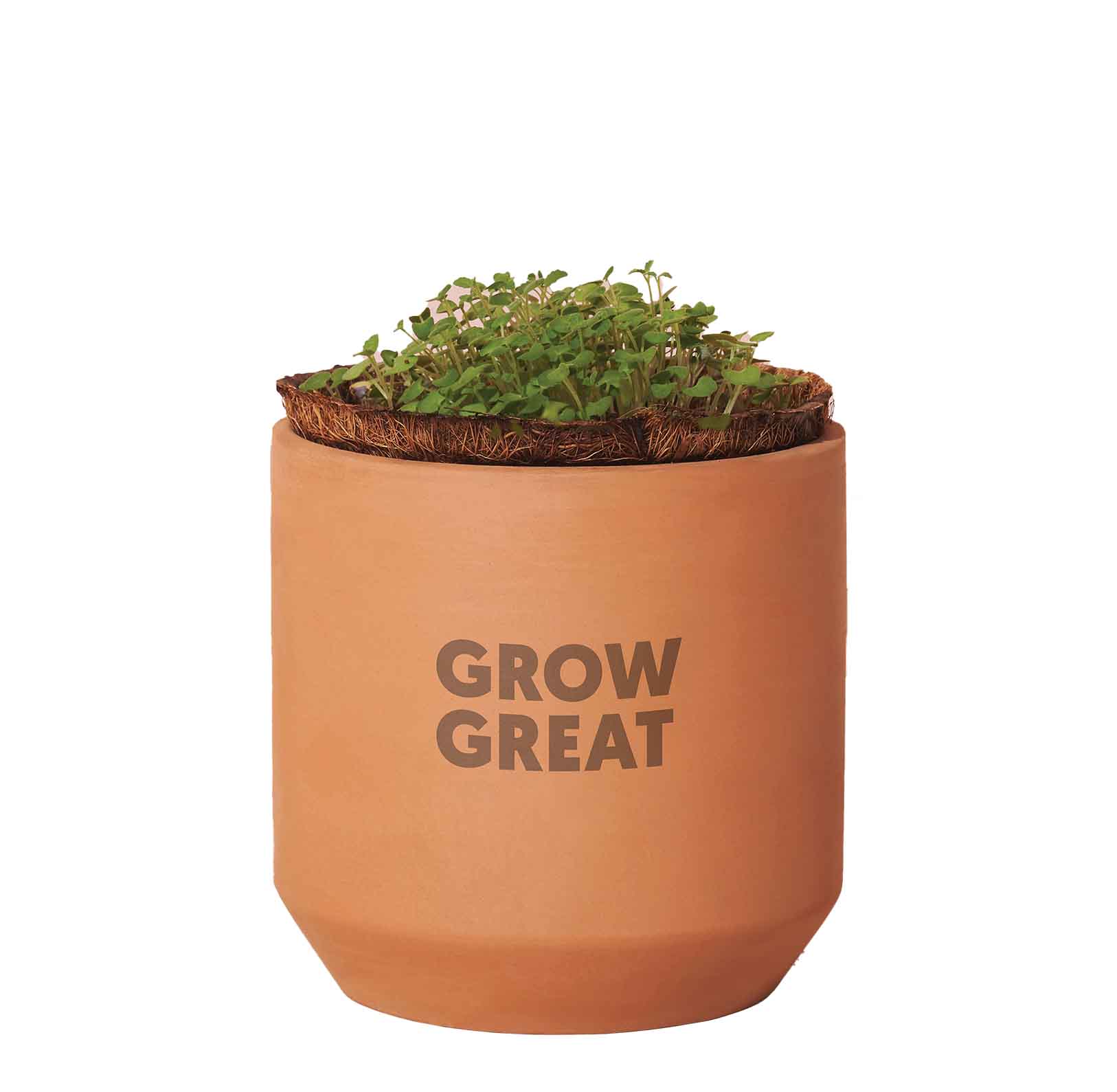 Modern Sprout Poppies Kit - Custom Branded Promotional Home & Garden ...