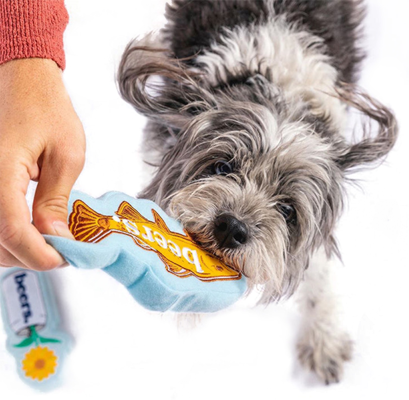 Custom Dog Toy - Custom Branded Promotional Pet Toys - Swag.com