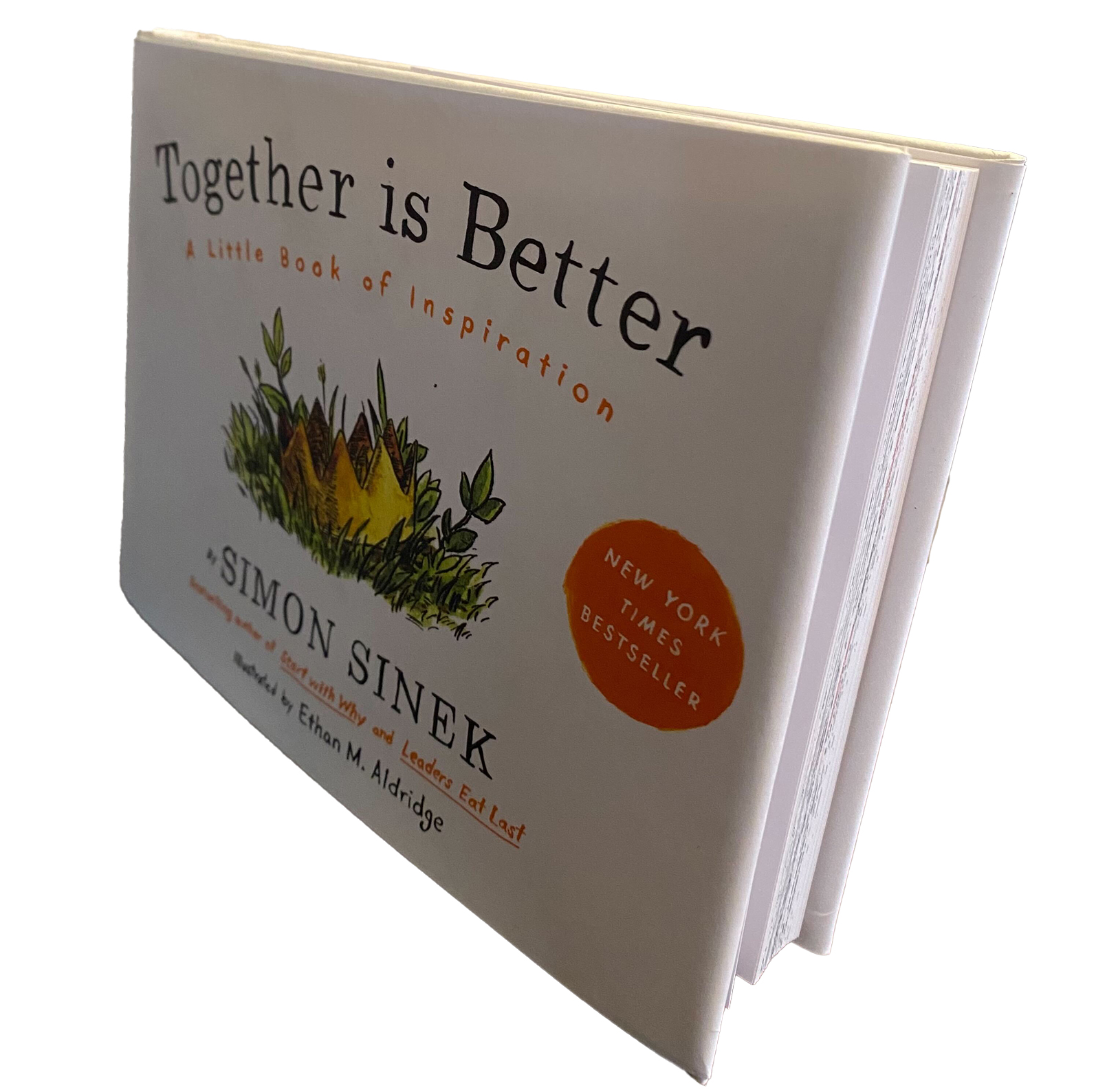 Together Is Better - Simon Sinek - Custom Branded Promotional Books ...