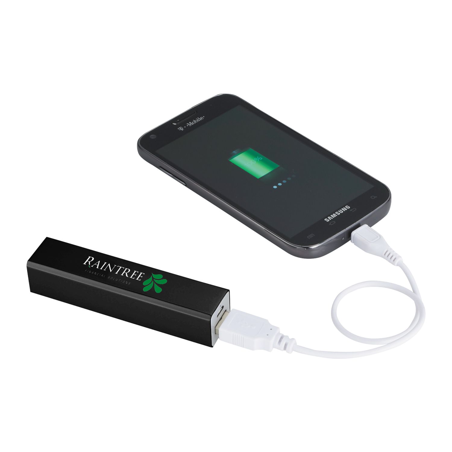 Jolt Power Bank - Custom Branded Promotional Tech Accessories - Swag.com
