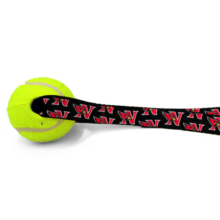Custom Dog Tennis Ball - Custom Branded Promotional Pet Toys - Swag.com