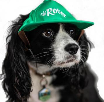 Custom Dog Hat - Custom Branded Promotional Pet Toys - Swag.com